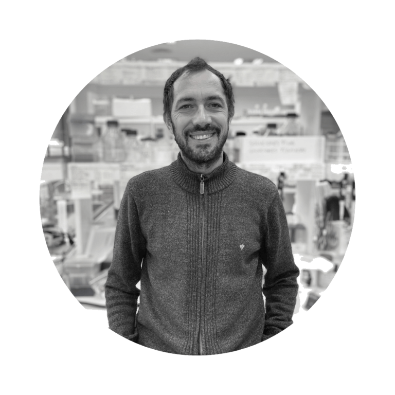 Rasia, Roldolfo – IBR